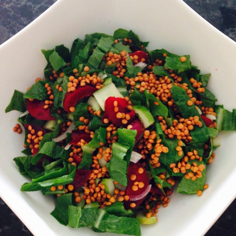 Red Plum and Red Lentil Salad with Red Wine Vinaigrette | susies-scraps.com