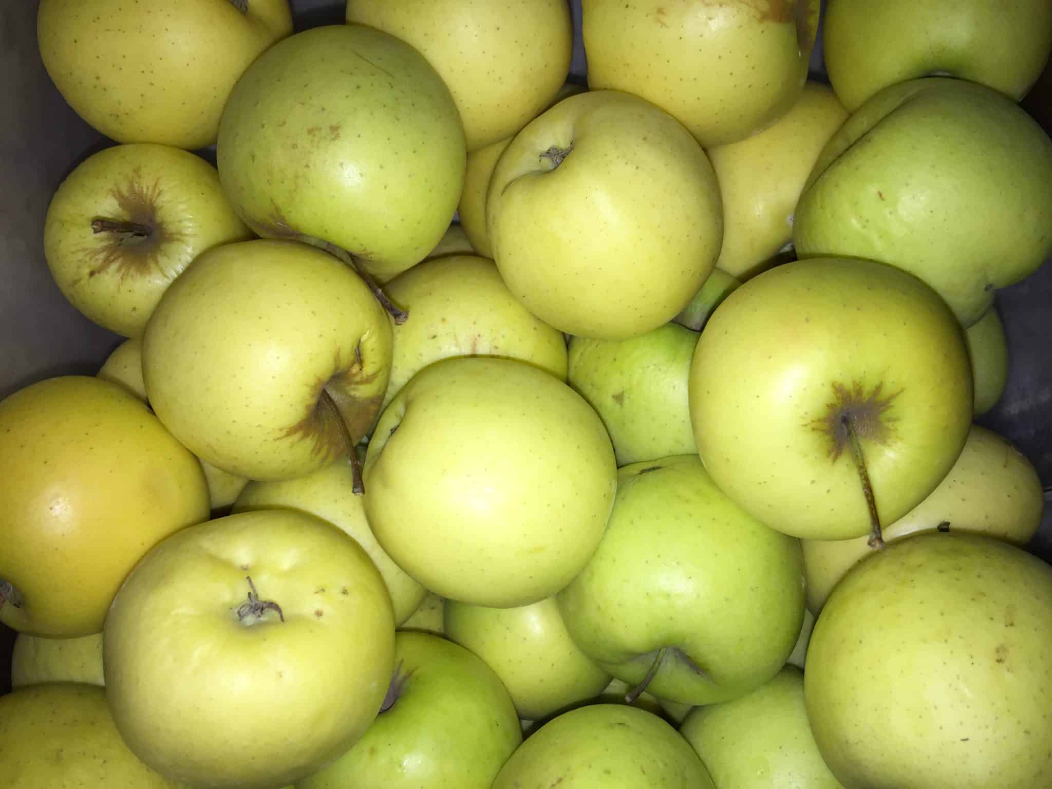 What’s Cooking?…Stewed Apples | susies-scraps.com