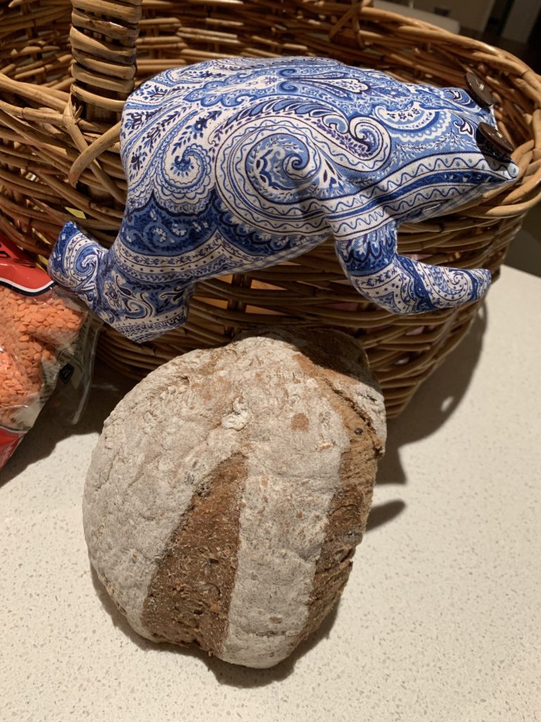 Cane Toad Cutie Bean Bag & Pattern | susies-scraps.com